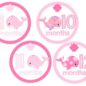 Baby Milestone Stickers Girls Monthly Baby Stickers Monthly | Etsy