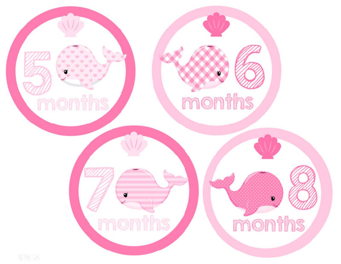 Baby Milestone Stickers Girls Monthly Baby Stickers Monthly | Etsy