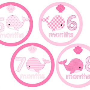 Baby Milestone Stickers Girls Monthly Baby Stickers Monthly | Etsy