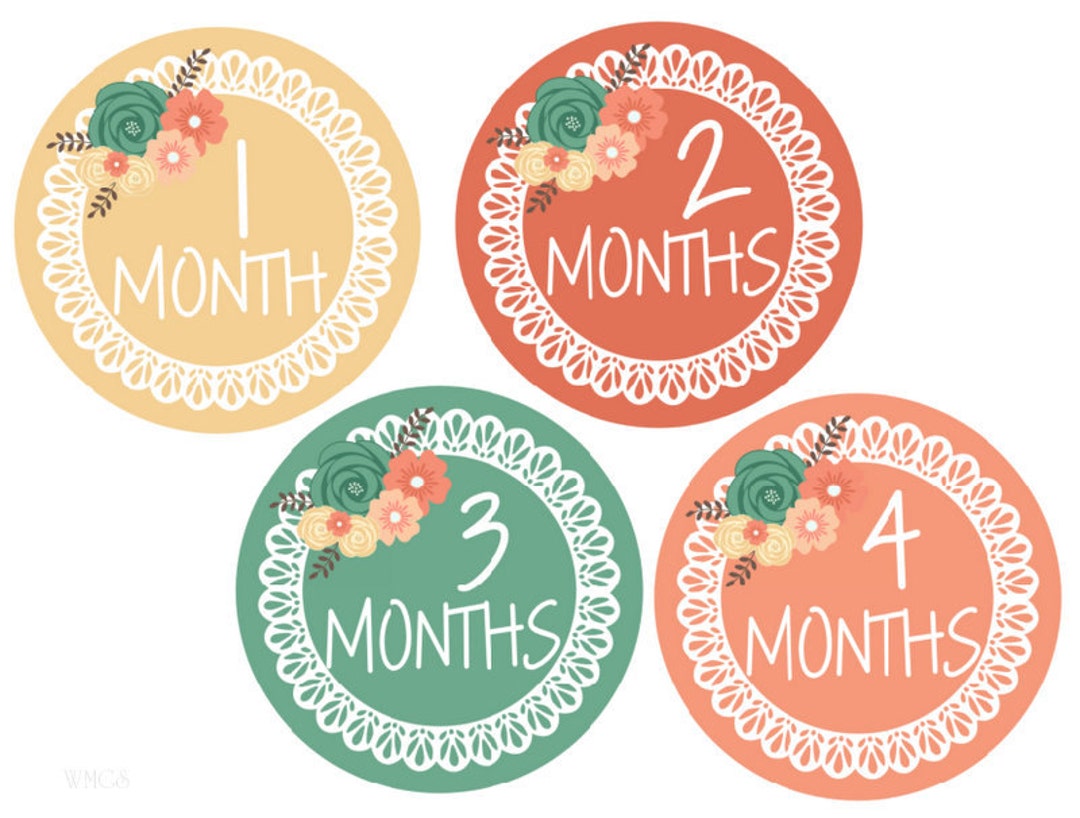 Baby Month Stickers Baby Milestone Stickers Monthly Stickers - Etsy