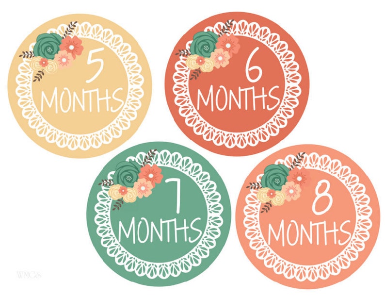 Baby Month Stickers Baby Milestone Stickers Monthly Stickers | Etsy