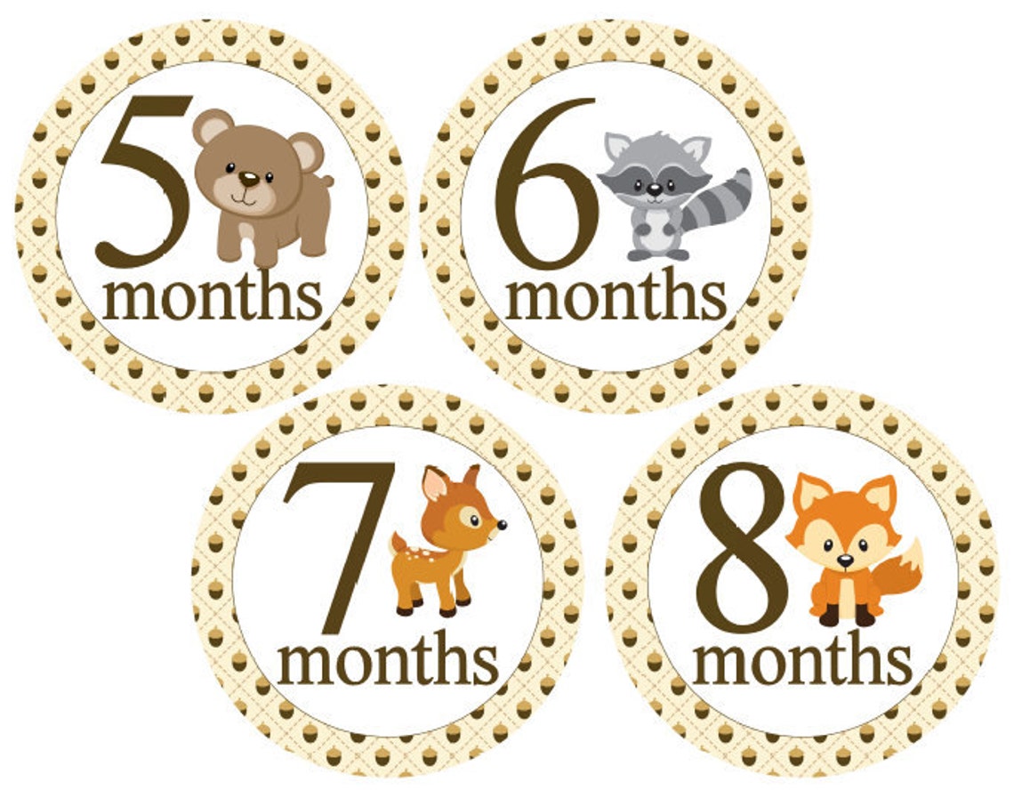 Boy Monthly Stickers Milestone Stickers Monthly Baby Stickers - Etsy