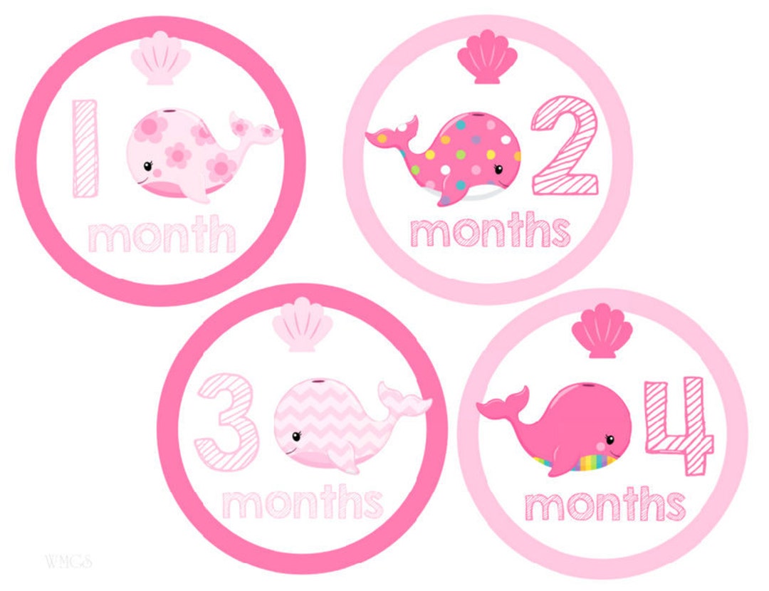 Baby Milestone Stickers Girls Monthly Baby Stickers Monthly - Etsy