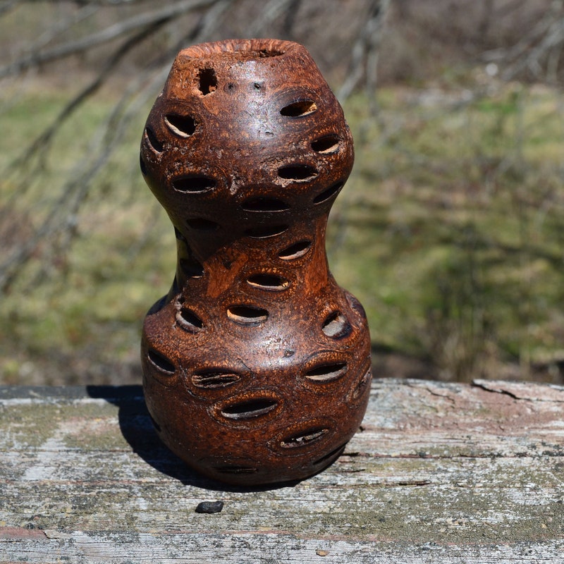 Banksia Pod - Etsy