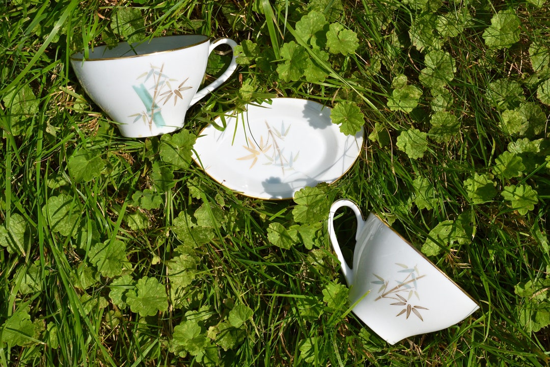 1960s 1970s Noritake Oriental Pattern Flat Cup Green White. Bamboo ...