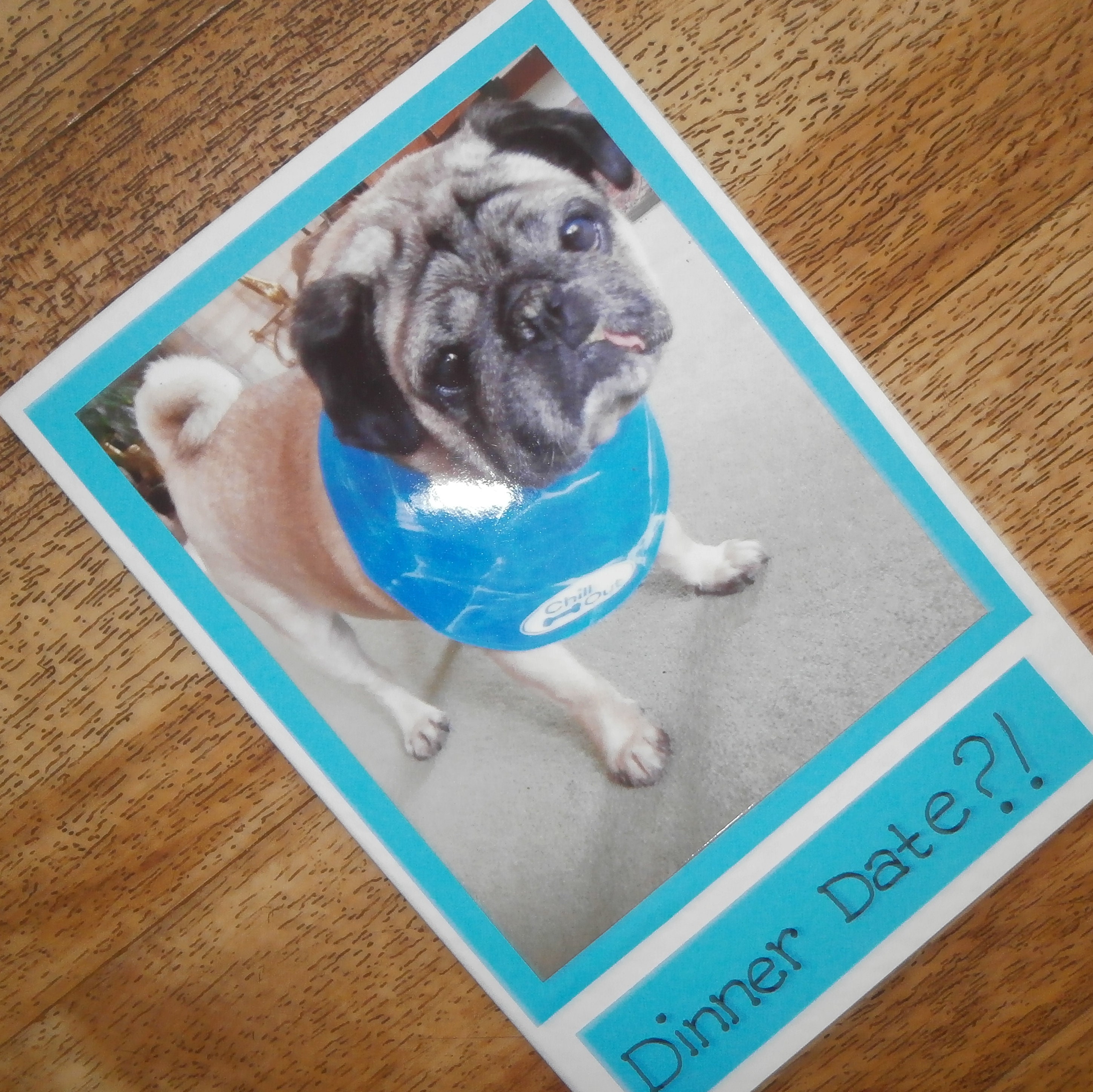Pug Card. - Etsy UK