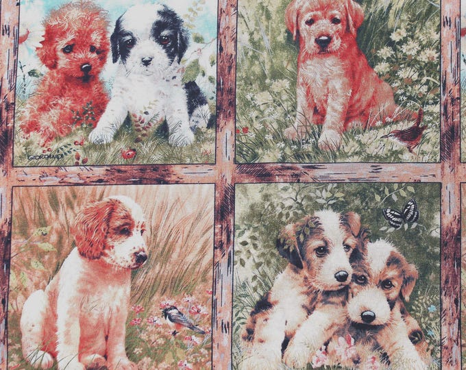 State Flower Collection Susan Ellis for Northcott, # 604, 100% Cotton ...
