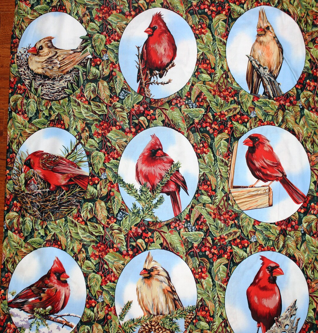 State Birds by Susan Ellis for Northcott, # 646, 100% Cotton Fabric ...