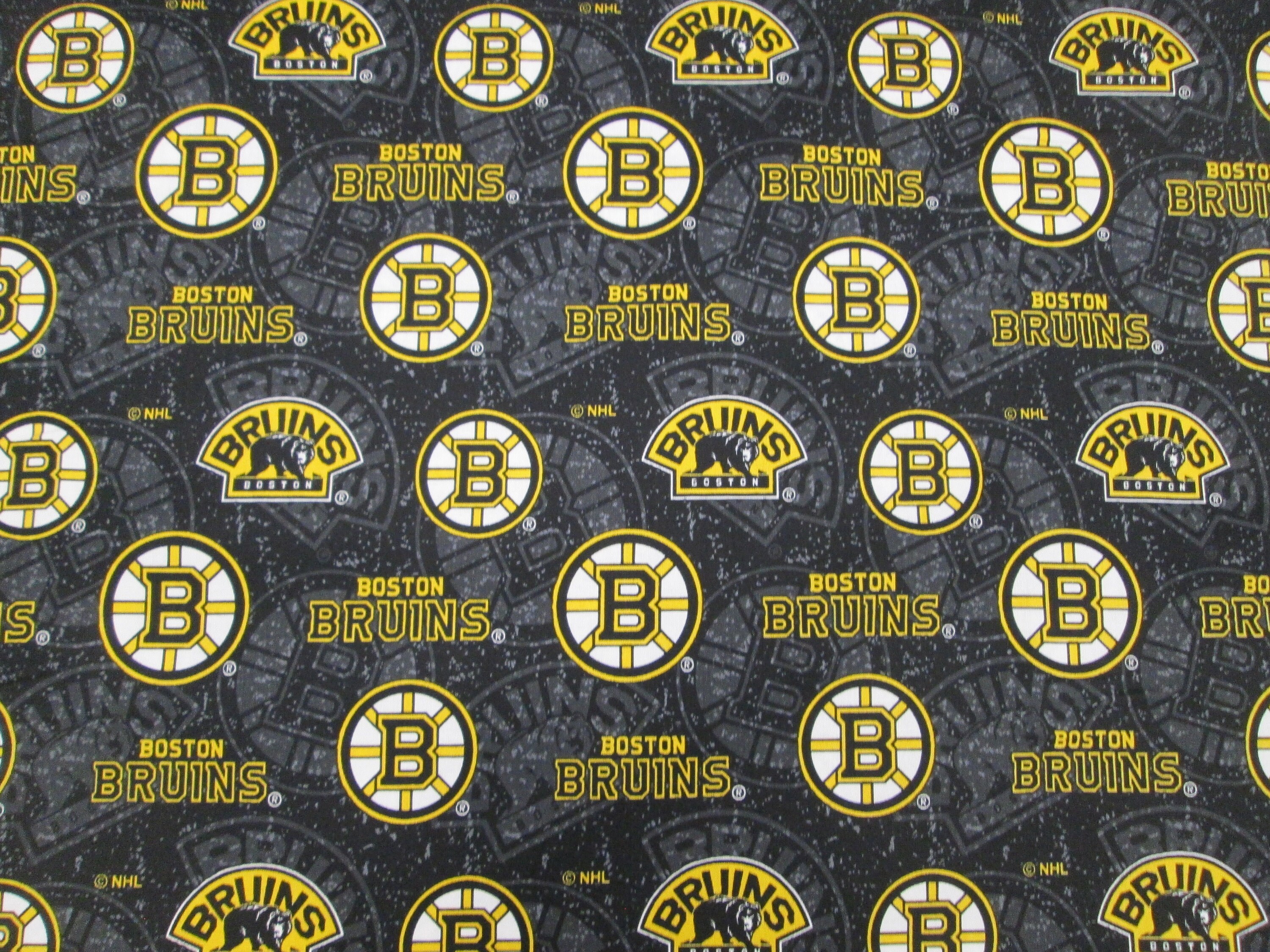 Boston Bruins Logo Work