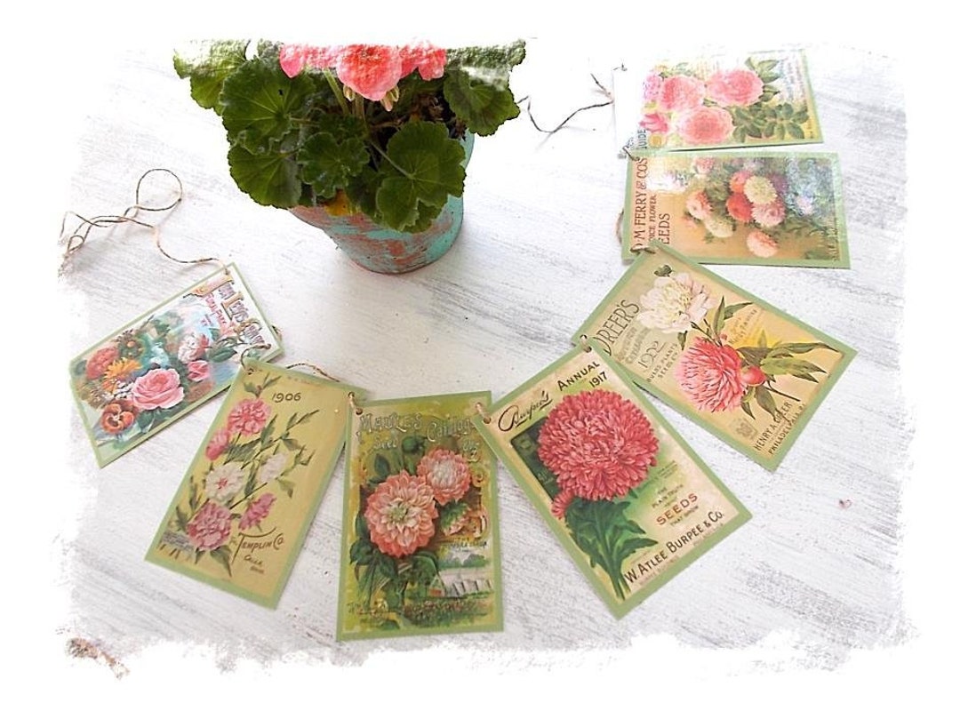Spring Banner, Vintage Flower Seed Banner for Laminated Banner for ...