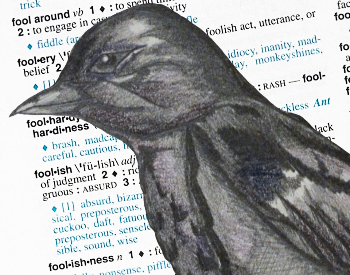 Baltimore Ravens Football Dictionary Art Print Football Wall - Etsy