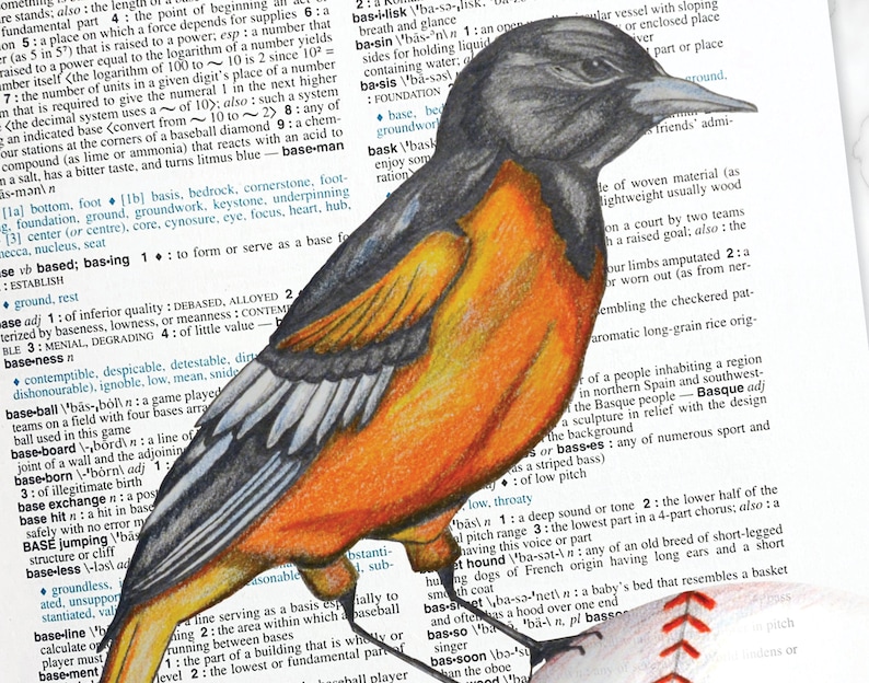 Baltimore Orioles Baseball Dictionary Art Print Baseball Wall | Etsy