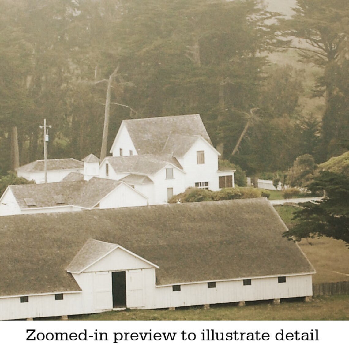 Point Reyes Ranch- San Francisco Bay Area CA - Original Landscape ...