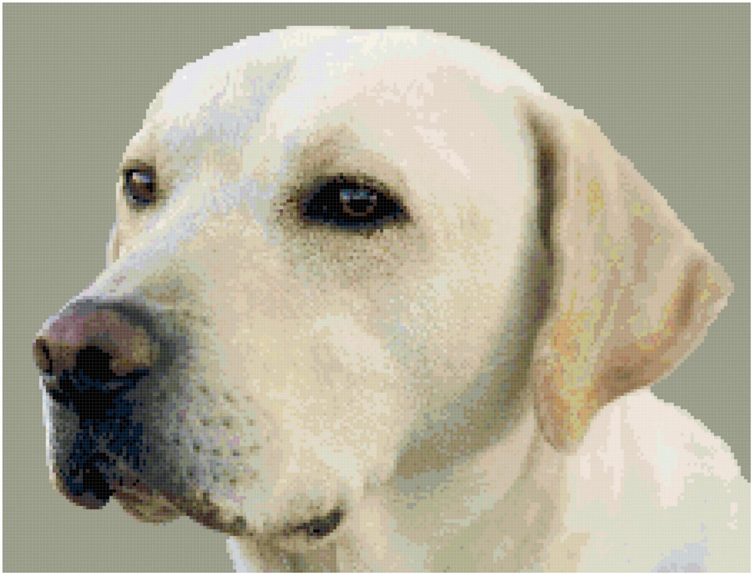Yellow Lab Labrador Retreiver Counted Cross Stitch Pattern Chart PDF ...