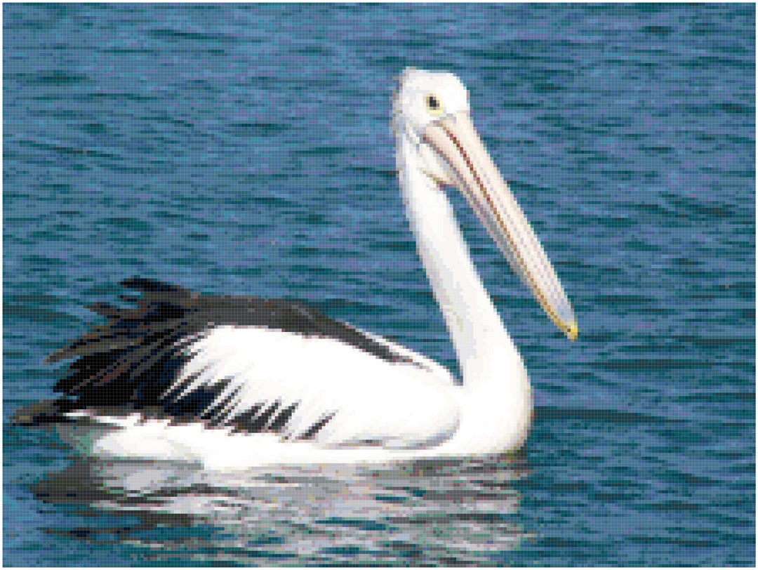 Pelican Counted Cross Stitch Pattern Chart PDF Download by Stitching ...