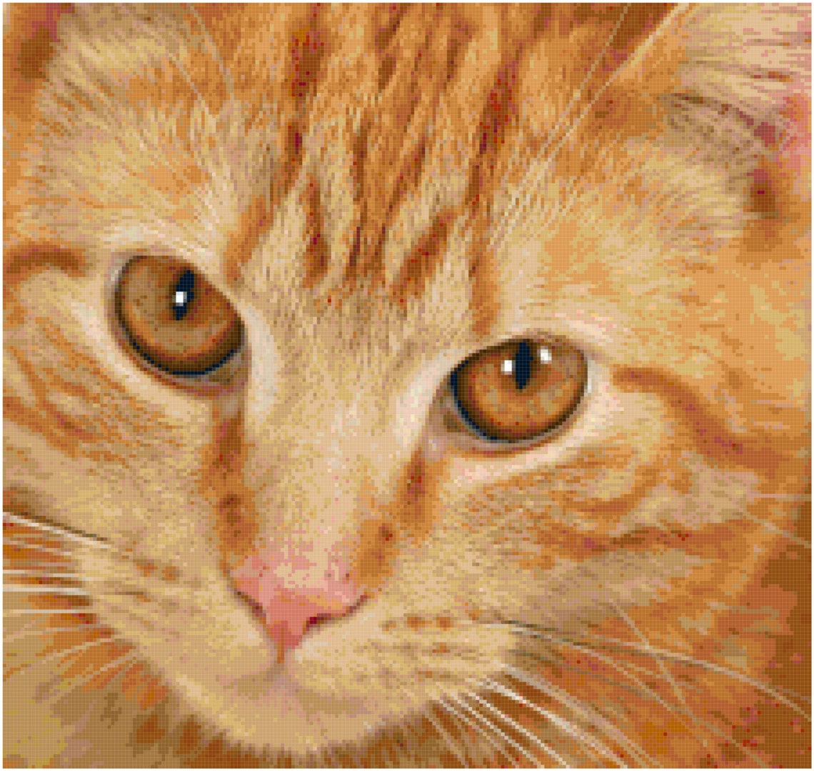 Orange Tabby Cat Counted Cross Stitch Pattern Chart PDF Download by ...