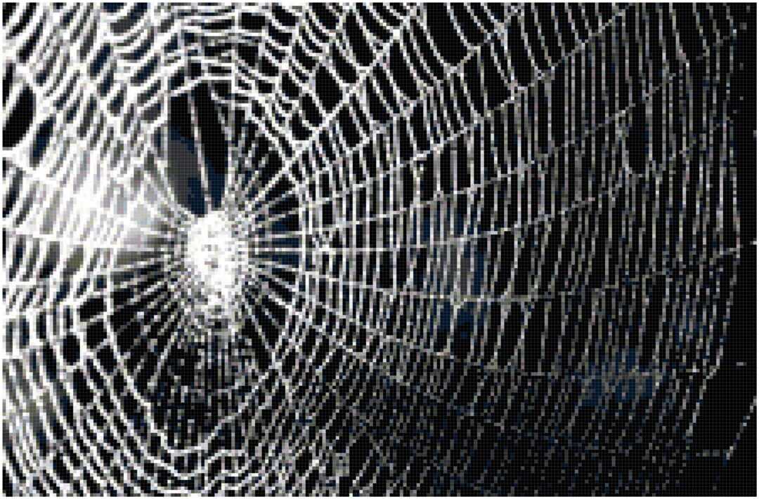 Spider Web Spiderweb Halloween Counted Cross Stitch Pattern Chart PDF ...