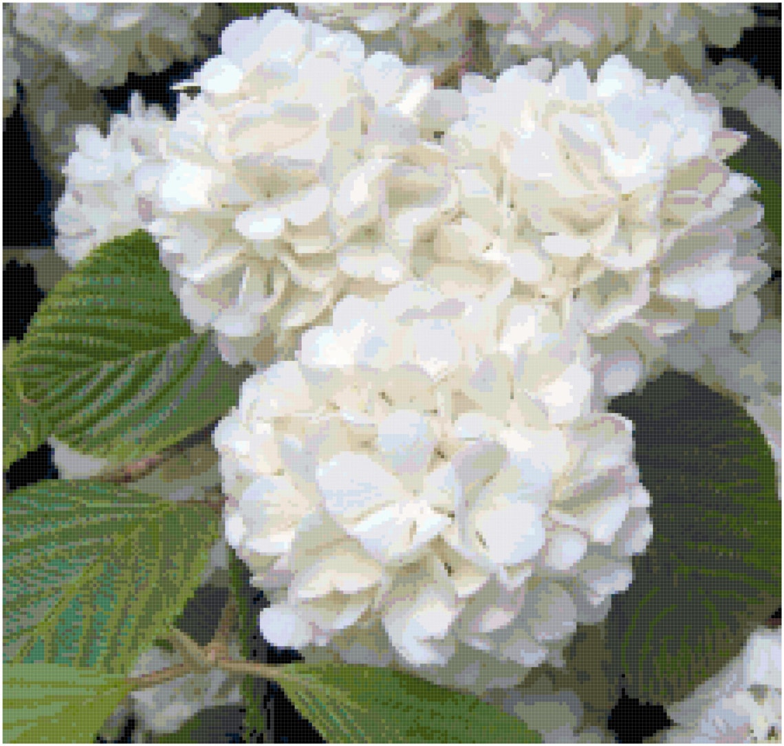Hydrangea Counted Cross Stitch Pattern Chart PDF Download by Stitching ...