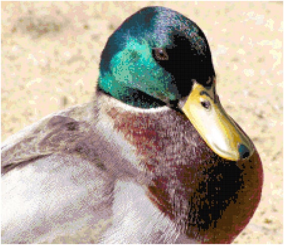 Mallard Duck Counted Cross Stitch Pattern Chart PDF Download | Etsy