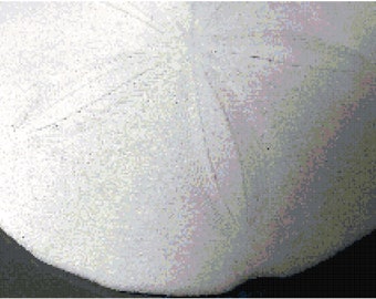 Sand Dollar Cross Stitch Pattern Instant Download - Etsy