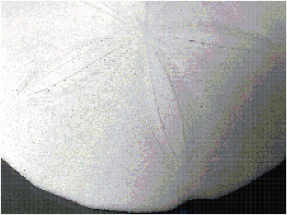 Sand Dollar Counted Cross Stitch Pattern Chart PDF Download by | Etsy