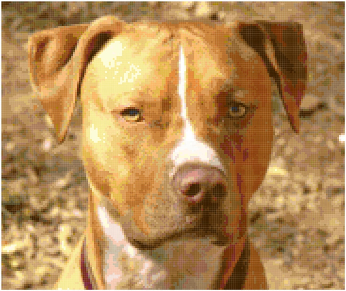 Pit Bull Dog Counted Cross Stitch Pattern Chart PDF Download by ...
