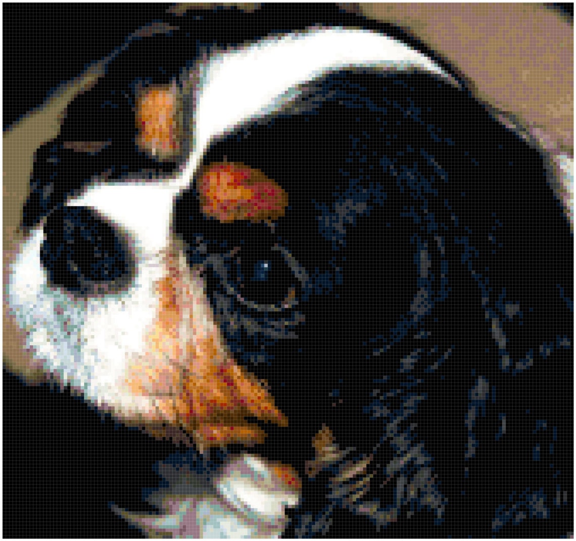 Cavalier King Charles Spaniel Counted Cross Stitch Pattern Chart PDF ...