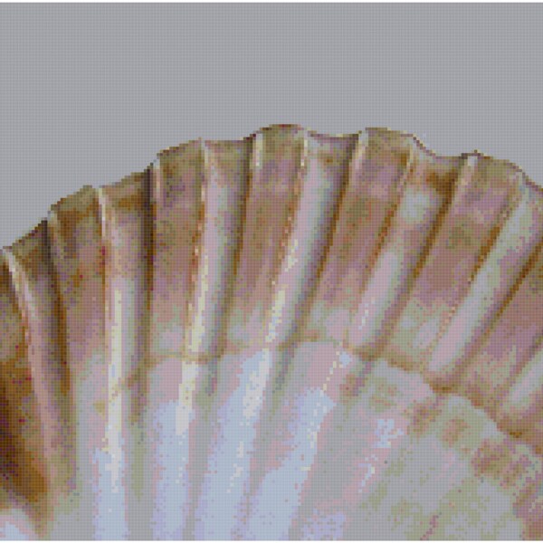 Seashell Cross Stitch - Etsy