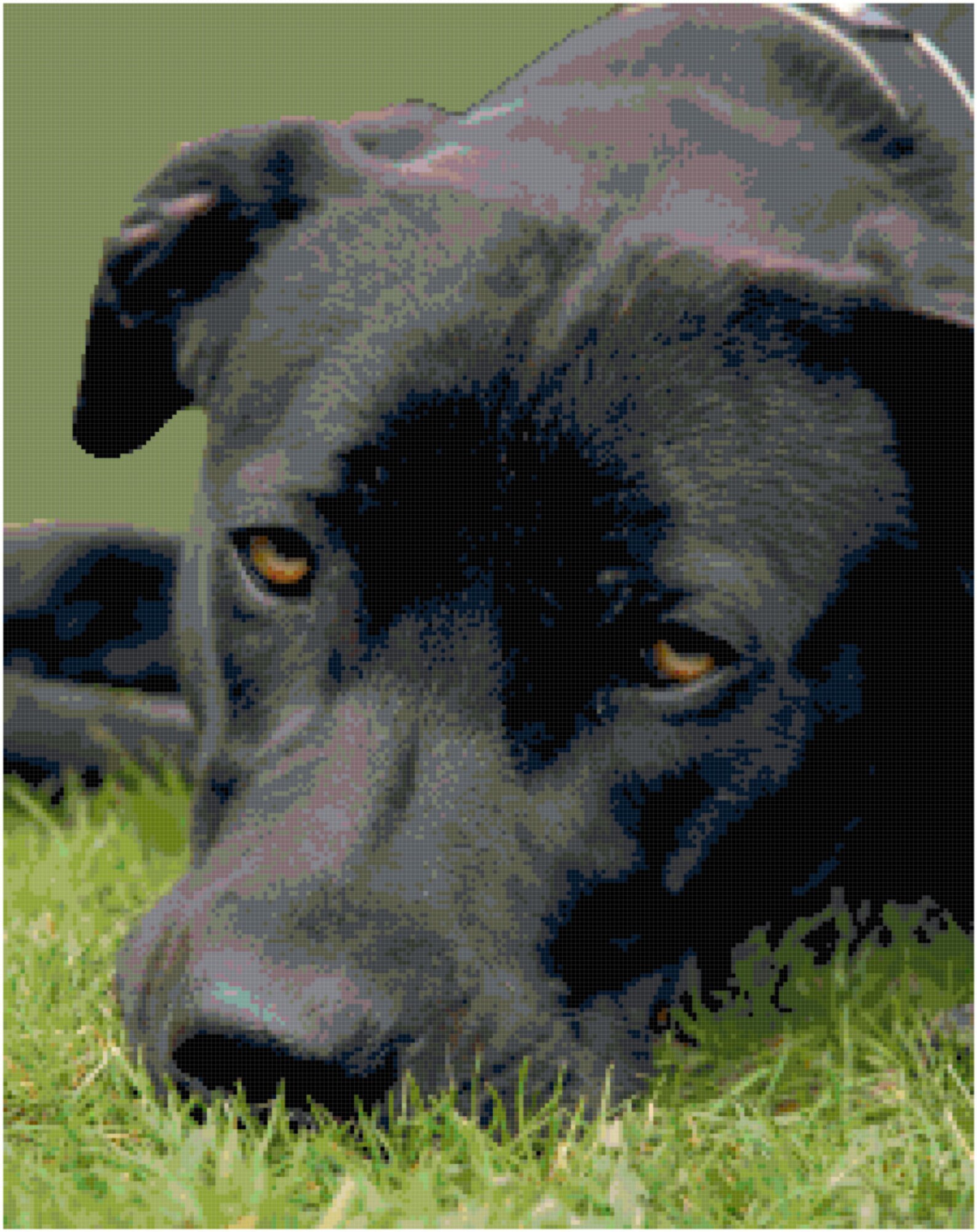 Black Lab Counted Cross Stitch Pattern Chart PDF Download by Stitching ...