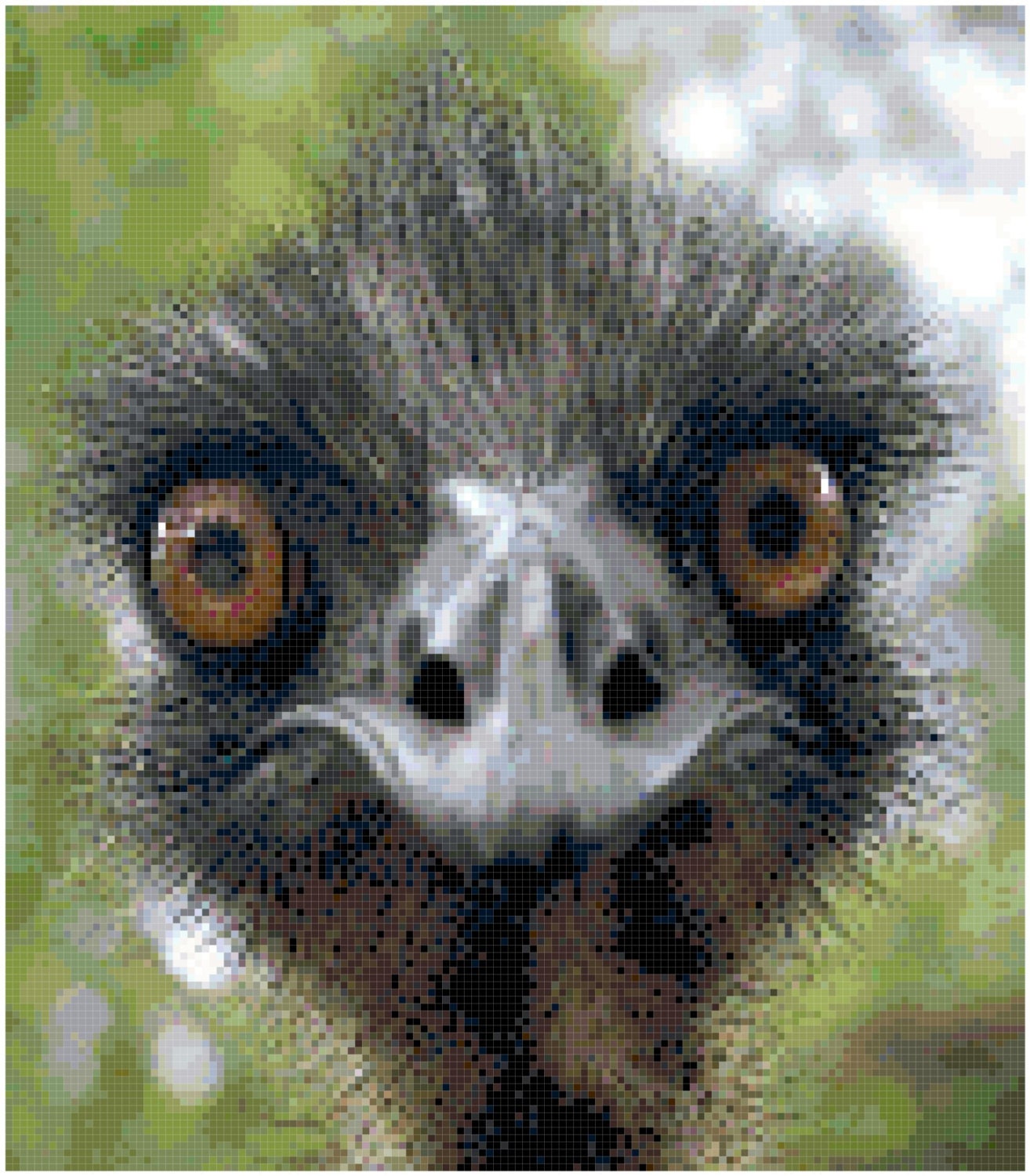 Emu Counted Cross Stitch Pattern Chart PDF Download by Stitching ...