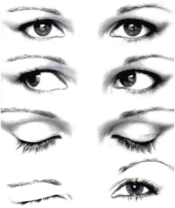 Eye Study Counted Cross Stitch Pattern Chart PDF Download by | Etsy