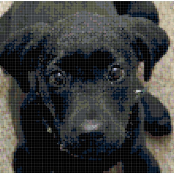 Black Lab Cross Stitch Pattern - Etsy