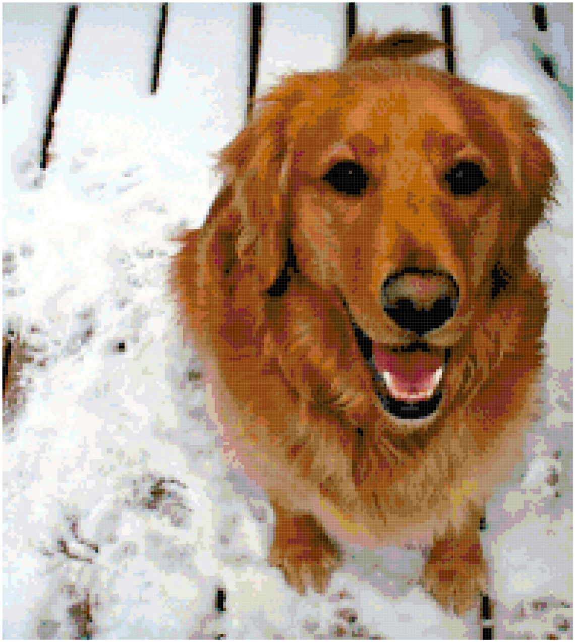 Golden Retriever Counted Cross Stitch Pattern Chart PDF Download by ...