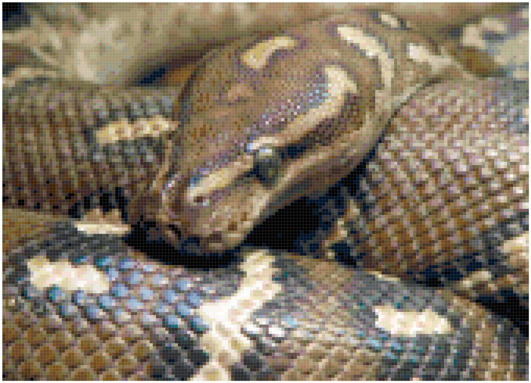 Boa Constrictor Snake Counted Cross Stitch Pattern Chart PDF Download ...