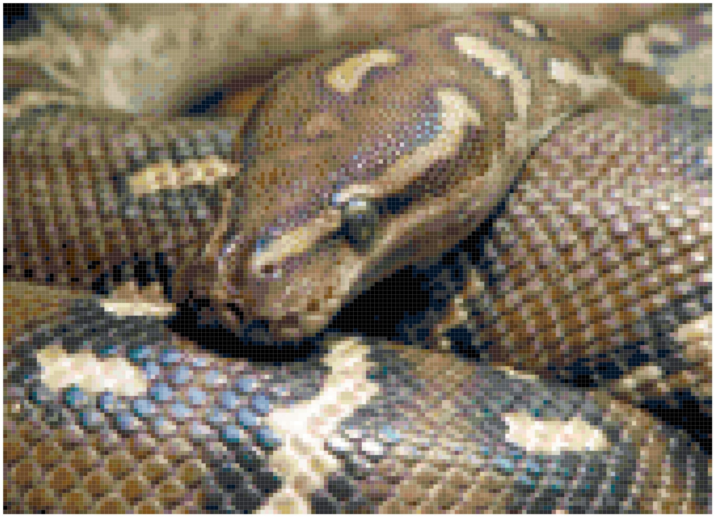 Boa Constrictor Snake Counted Cross Stitch Pattern Chart PDF Download ...