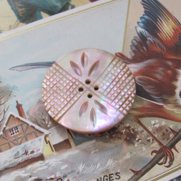 Vintage Shell Button - Etsy