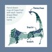 Wellfleet, Cape Cod Map Print • Massachusetts Wall Art Poster • Hand ...