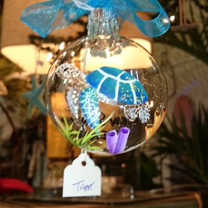 Christmas Ornament, Sea Turtle, Handpainted - Etsy