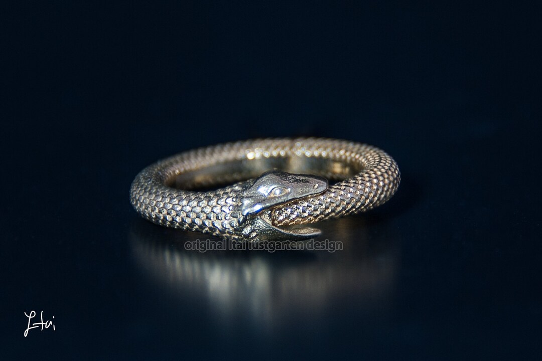 Ouroboros Ring, Snake Ring, Snake Eating Tail Ring, Ouroboros Jewellery ...