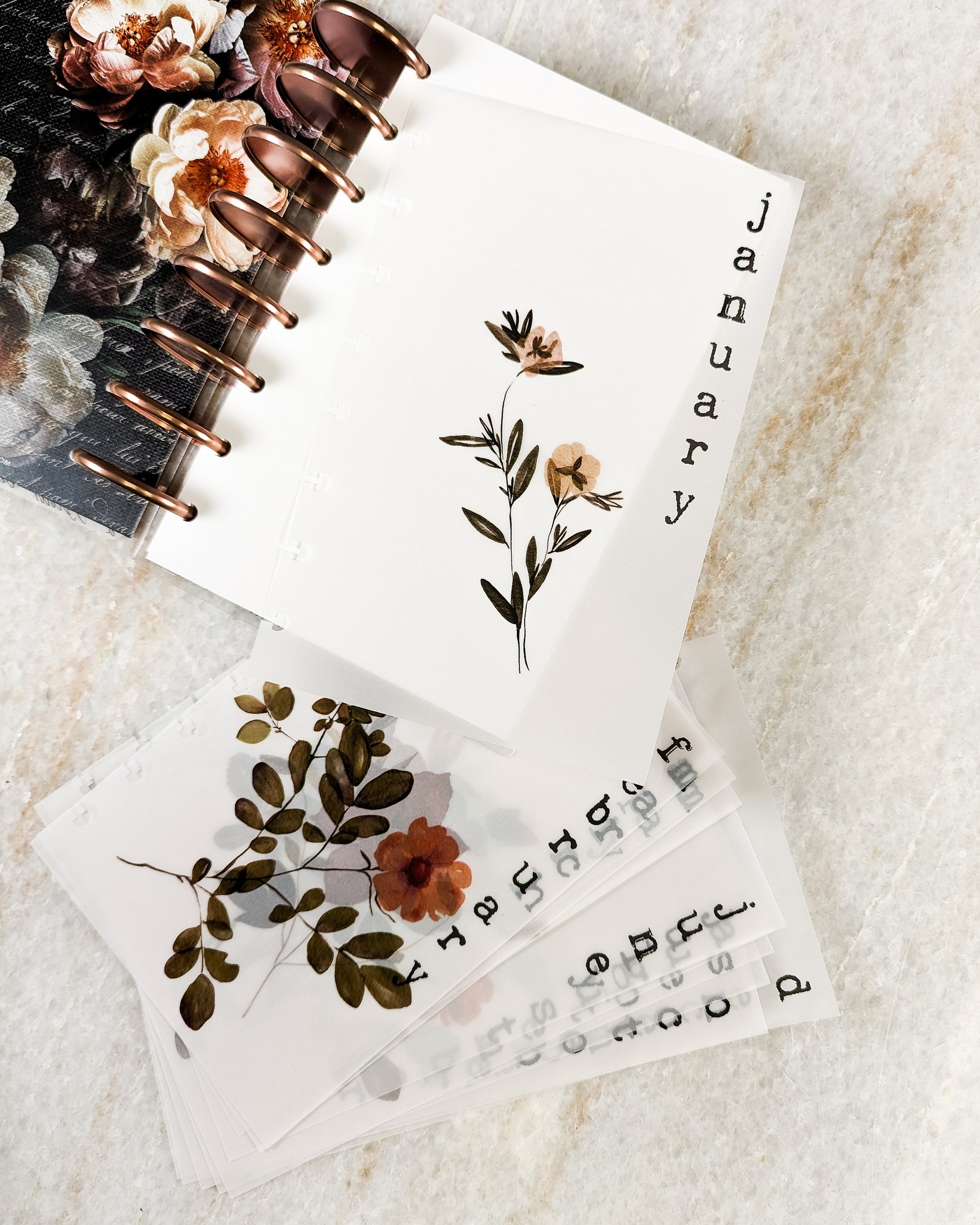 Monthly Vellum Planner Dashboard Set of 12 Discbound Notebooks and A5 ...