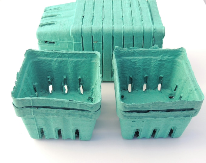 12 Aqua Green Pint Baskets Pulp Berry Baskets Recyclable - Etsy