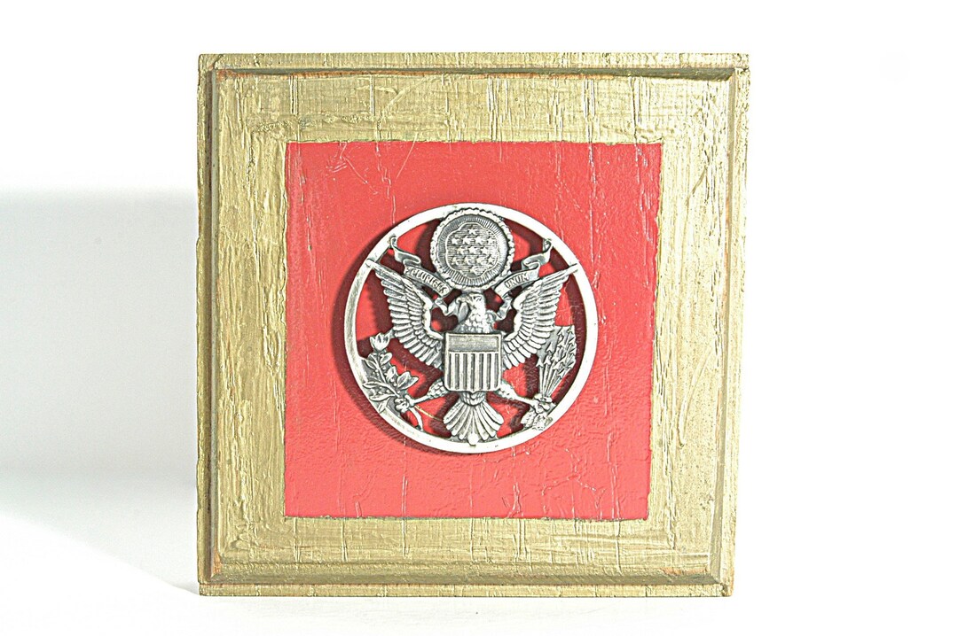 Air Force Enlisted Cap Insignia Mounted on Display Board Silver ...