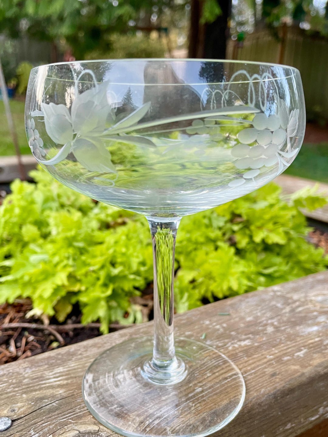 Vintage Etched Coupe Glasses, Cocktail Glasses, Selling Individually - Etsy