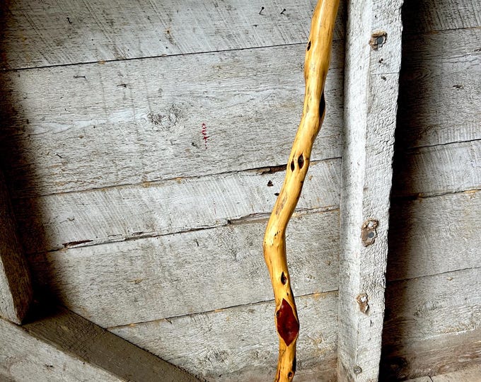Wood Walking Stick Natural Wood Branch With Knots - Etsy
