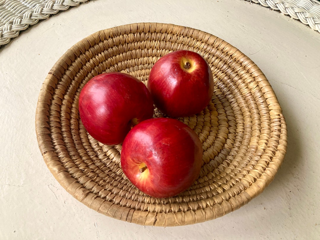 Coil Wrapped Raffia Sweetgrass Basket - Shallow Handmade Handwoven ...