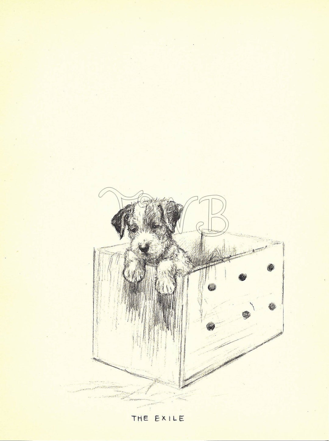 Original Puppy Print, 1930s Dog Print, Terrier Home Decor, Paper ...