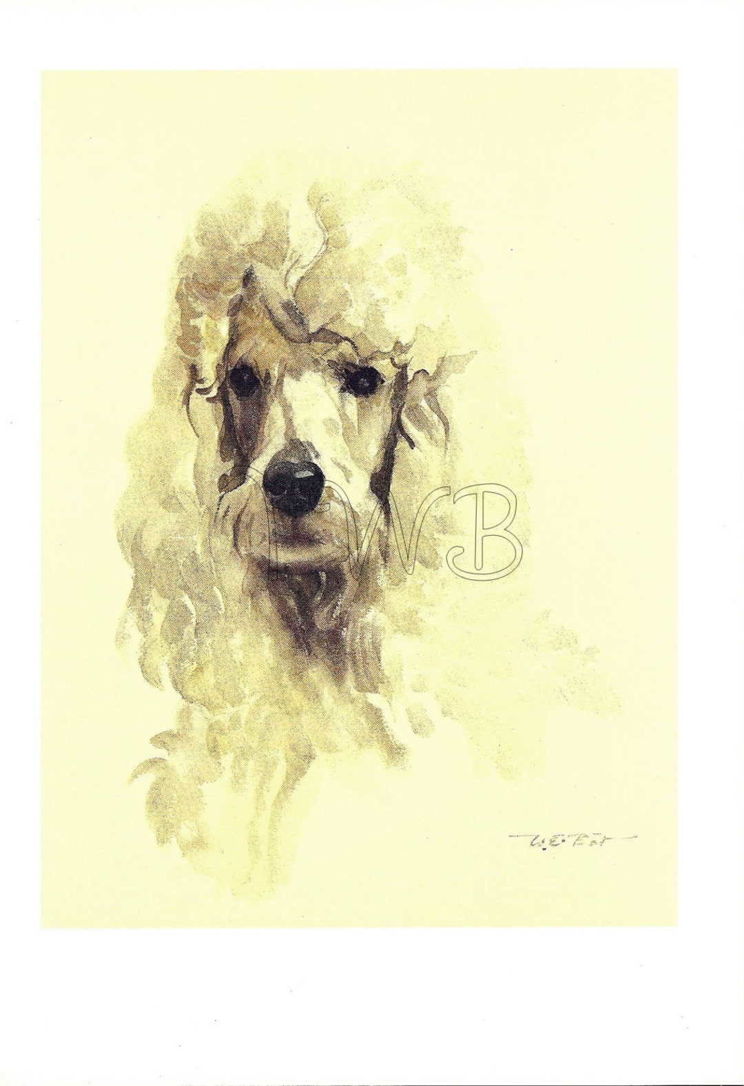 Dog Print, POODLE, Puppy Print, Art Print, Home Decor, Book Plate ...