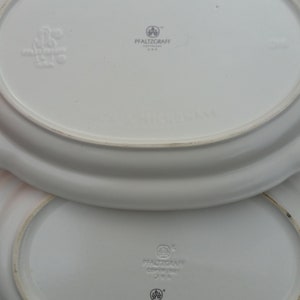 Pfaltzgraff TEA Rose Pattern Dinnerware Platters Plates Bowls Salt N ...