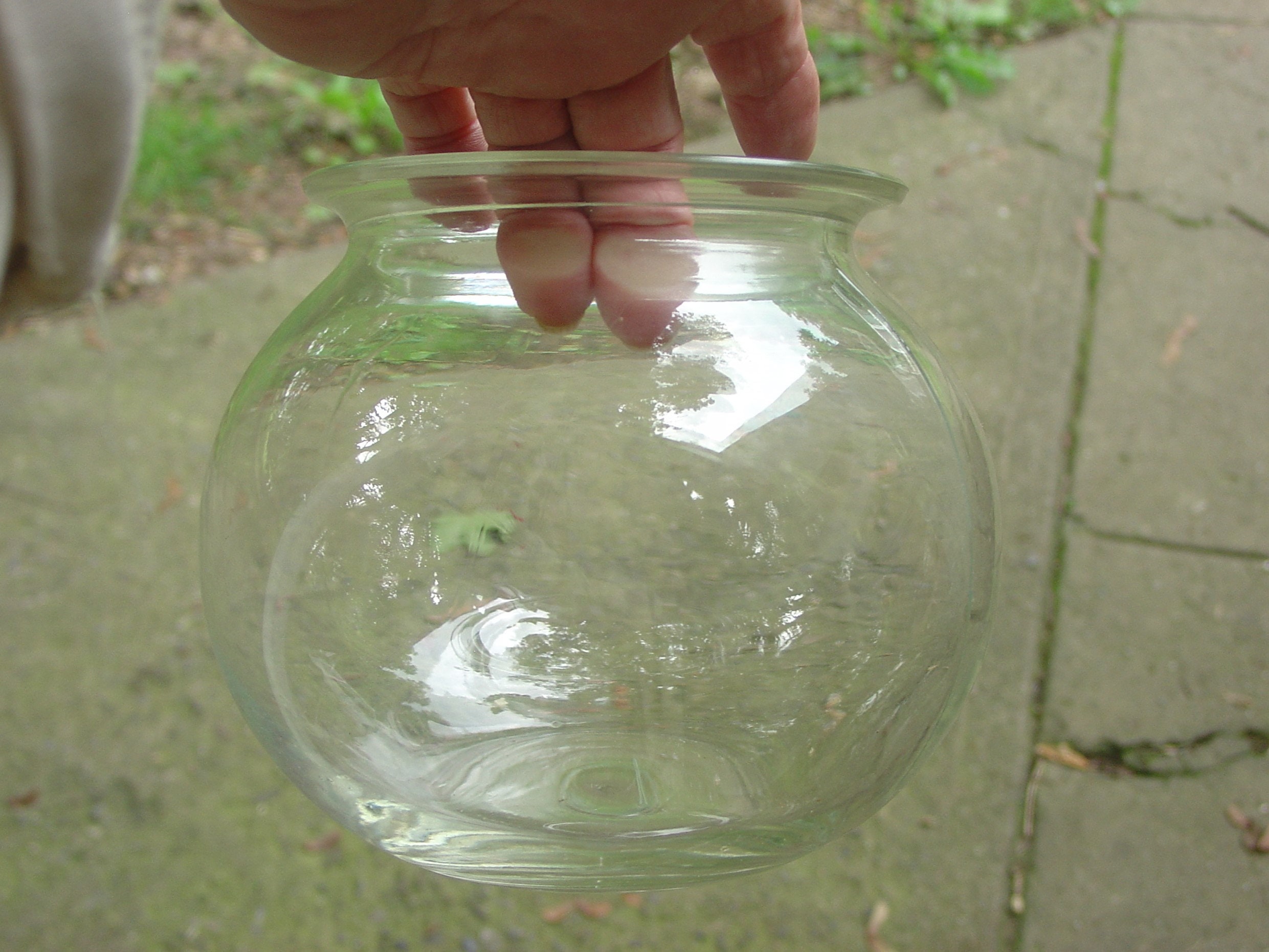 Glass Fish Bowl With Water