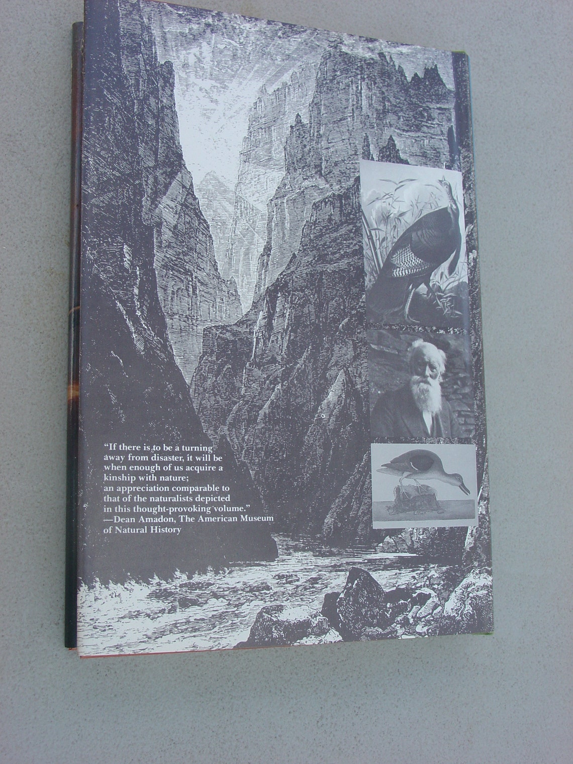America's Pioneering Naturalists Book Robert Elman New - Etsy